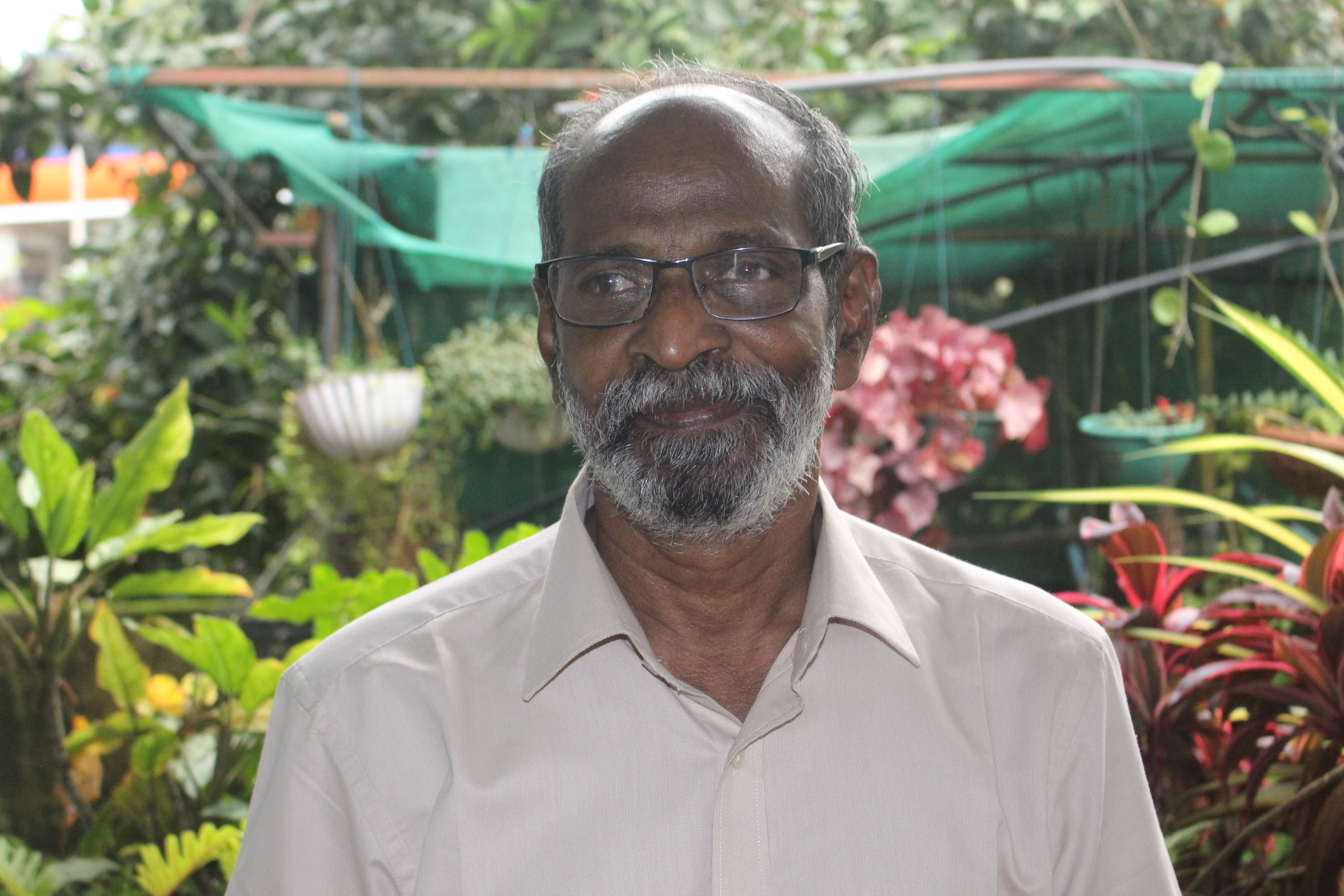 School of Legal Studies